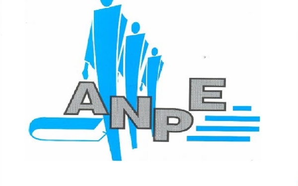 AUTONOMISATION ECONOMIQUE DES FEMMES : Des associations féminines ...